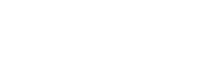 Brand Guidelines - Apex Chassis